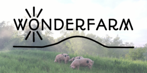About – Wonderfarm